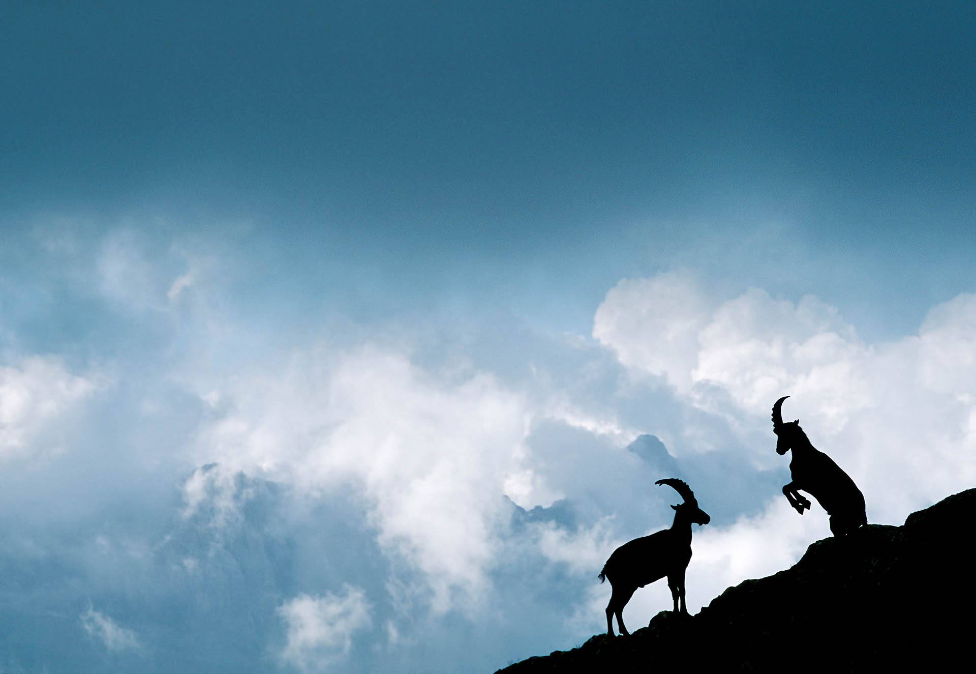 Berglicht: Paparazzi | Avonturier Melvin Redeker